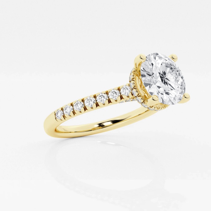 2 1/2 ctw Round Lab Grown Diamond Hidden Halo Engagement Ring ...